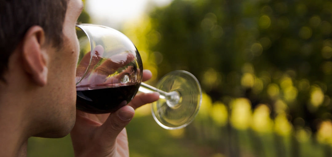 Red Wine - Canadian Liquor Store - Fine Wine & Spirits